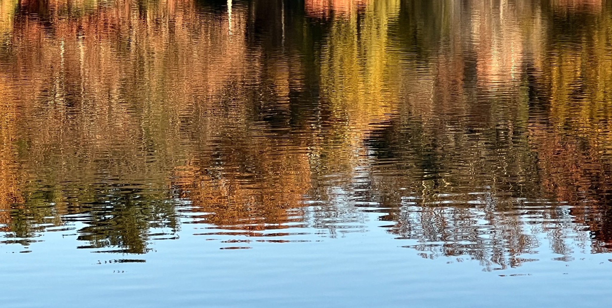 u r gr8 | thee istsfor manity reader